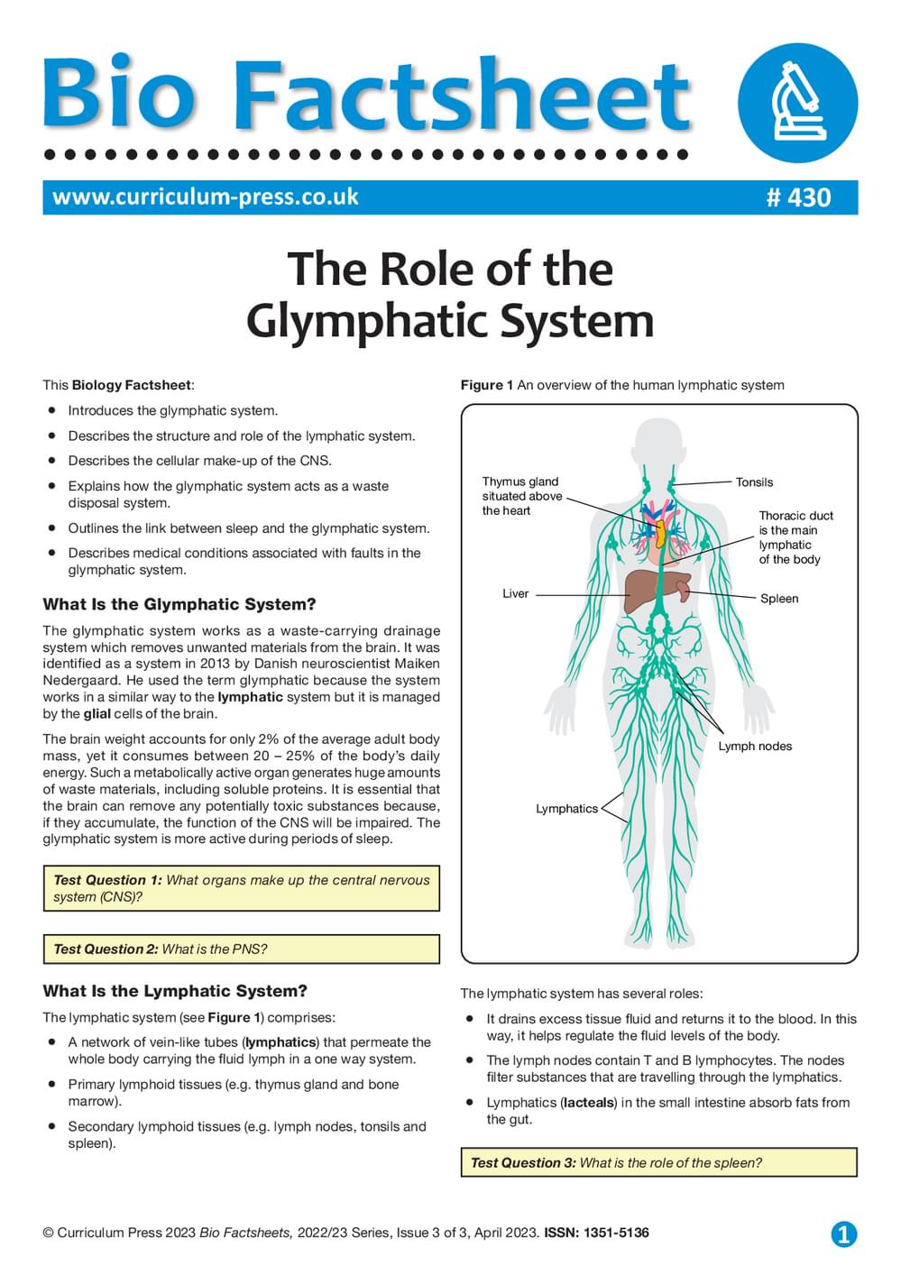 The Role Of The Glymphatic System Curriculum Press